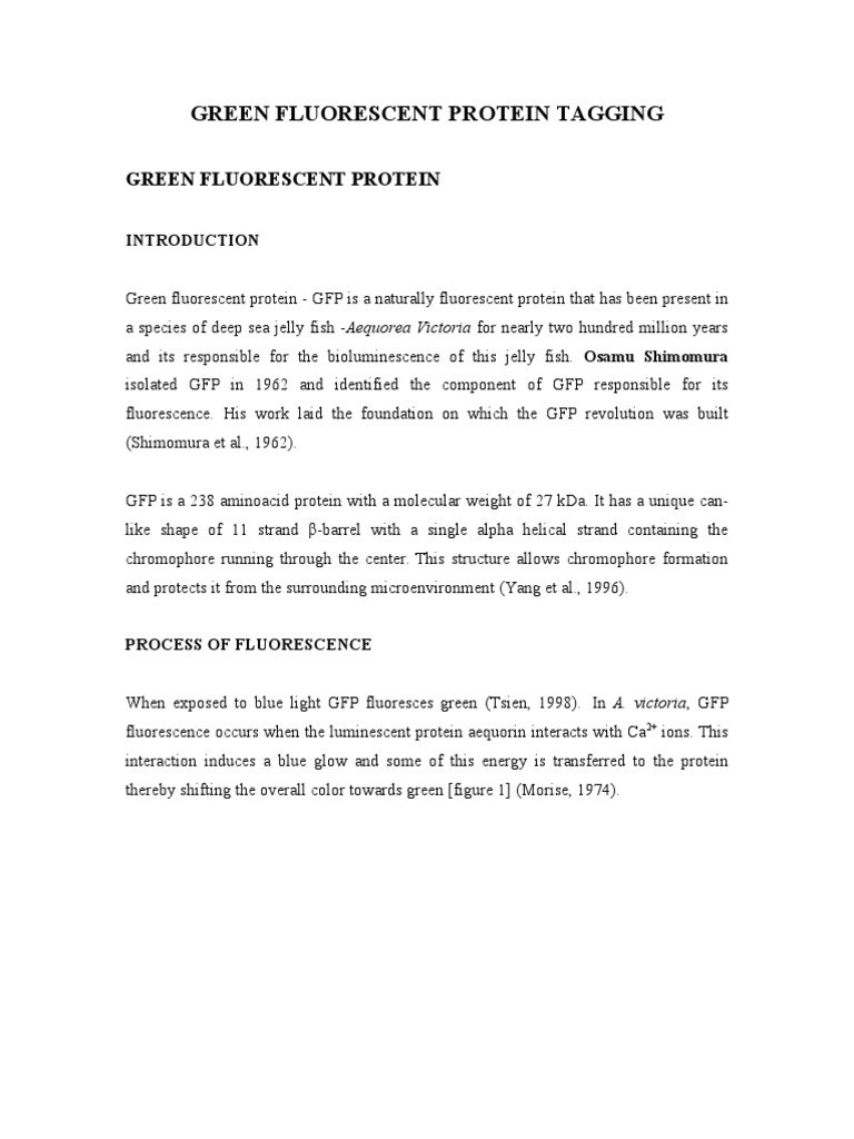 GFP Tagging | PDF | Green Fluorescent Protein | Macromolecules