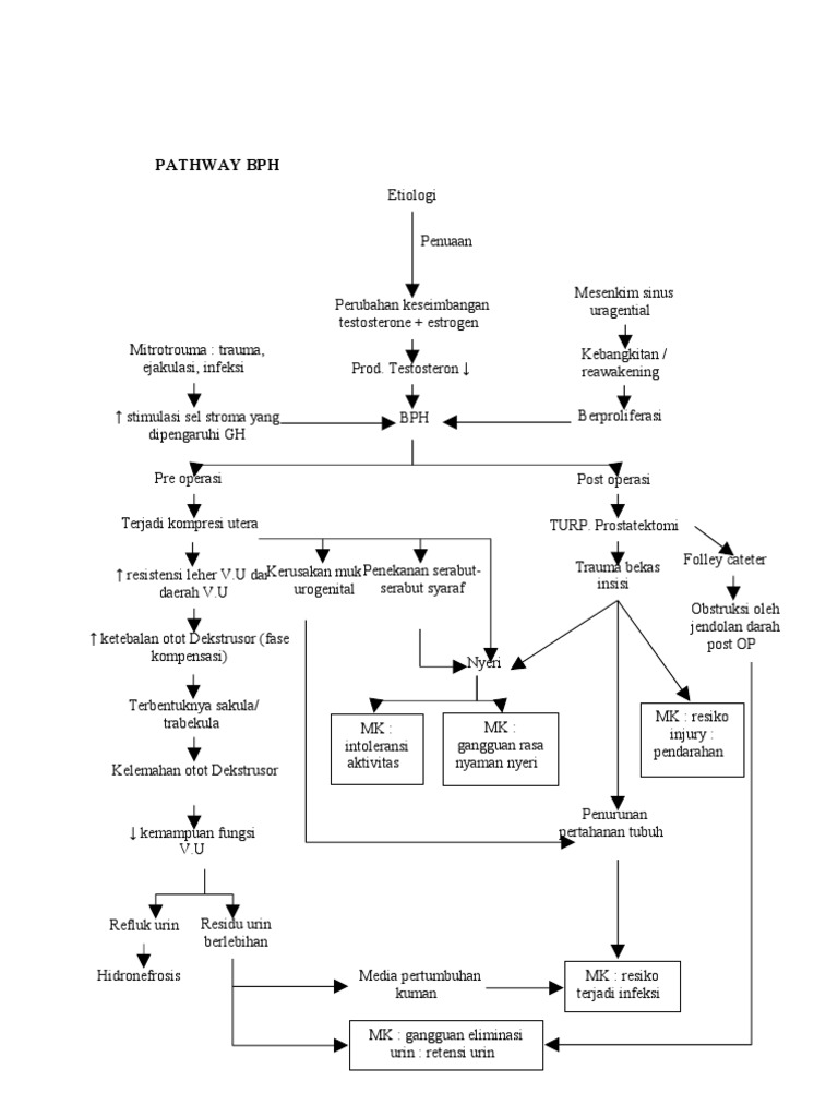 Pathway BPH