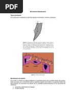 Clasificacion de Vertucci | PDF | Diente | Anatomia dental