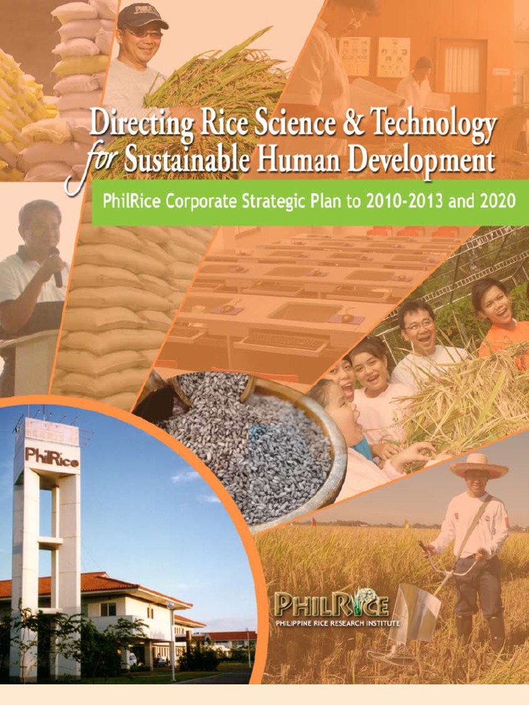 PhilRice Corporate Strategic Plan 2010-2013-2020 | PDF | Food Security ...