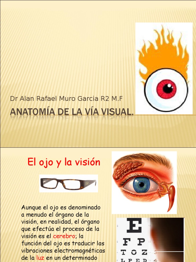 Via Visual | Descargar gratis PDF | Percepción visual | Ojo humano