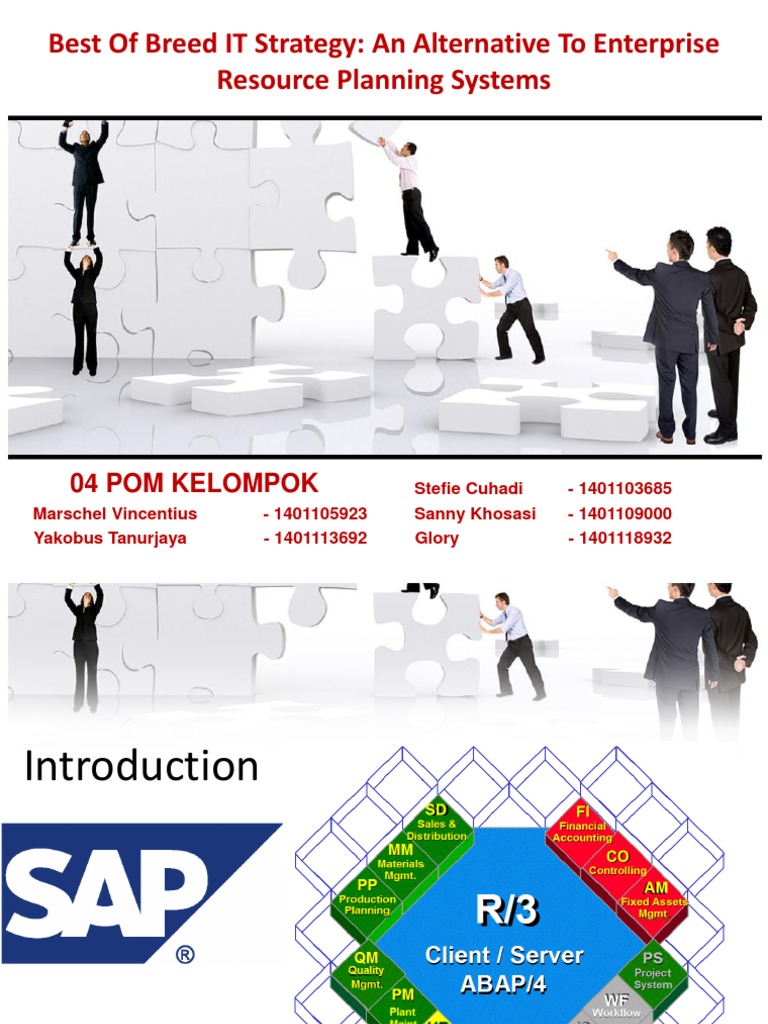 BEST OF BREED IT STRATEGY: AN ALTERNATIVE TO ENTERPRISE RESOURCE ...