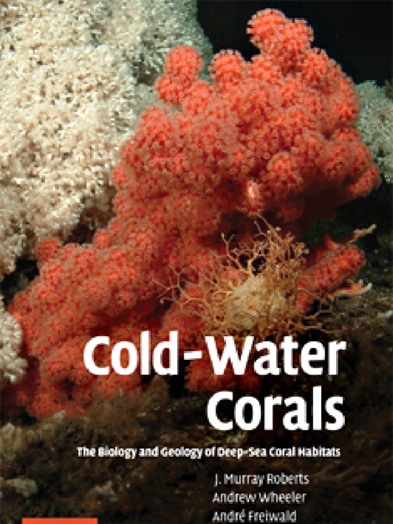 Cold Water Corals | PDF | Sonar | Coral