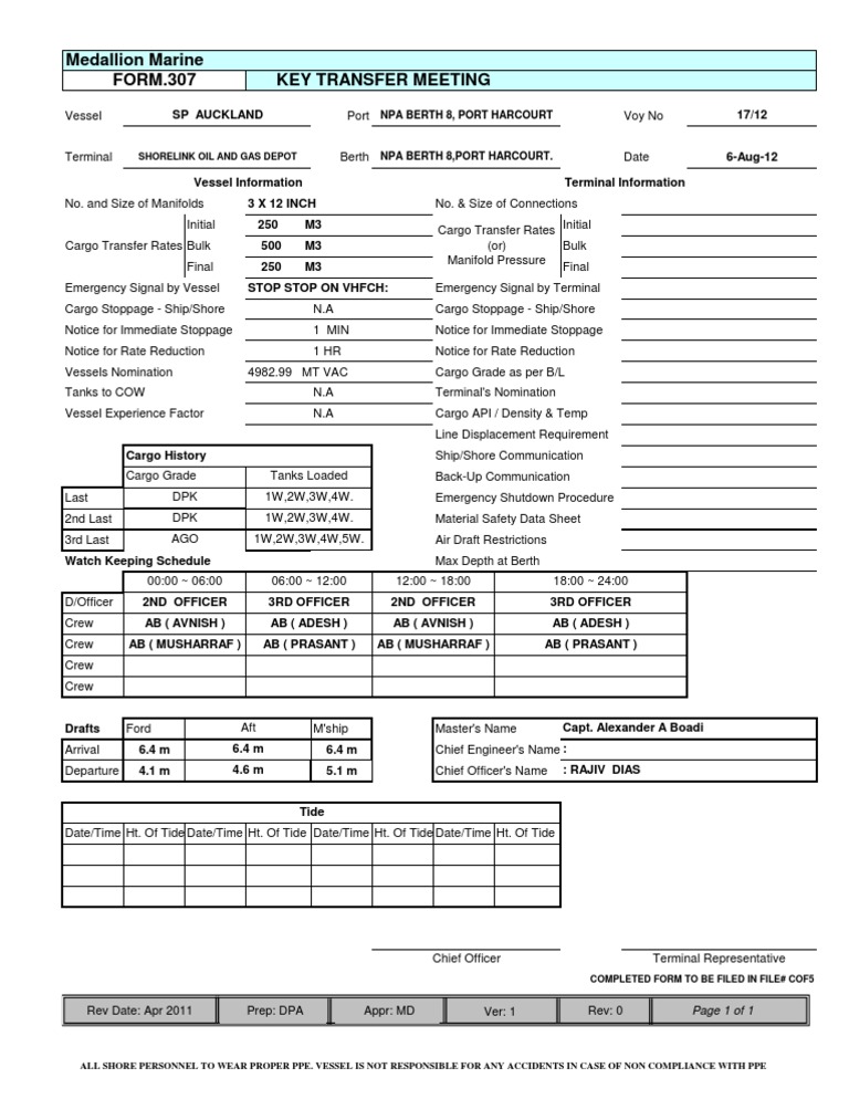 Shorelink Shipping Form 307 Details | PDF | Technology & Engineering