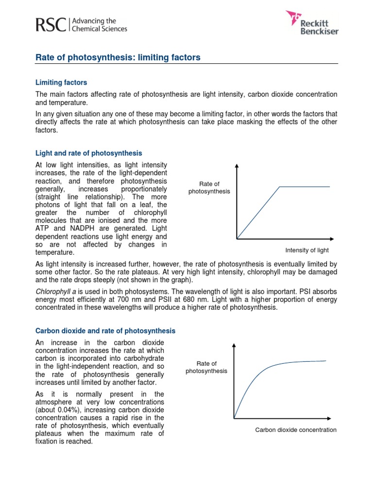 Limiting Factors of Photosynthesis Explained | PDF | Chlorophyll ...