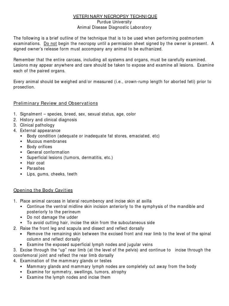 Veterinary Necropsy Technique | PDF | Thorax | Heart Valve