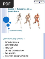 Biomecánica de Palancas en el Cuerpo Humano | PDF | Palanca | Codo