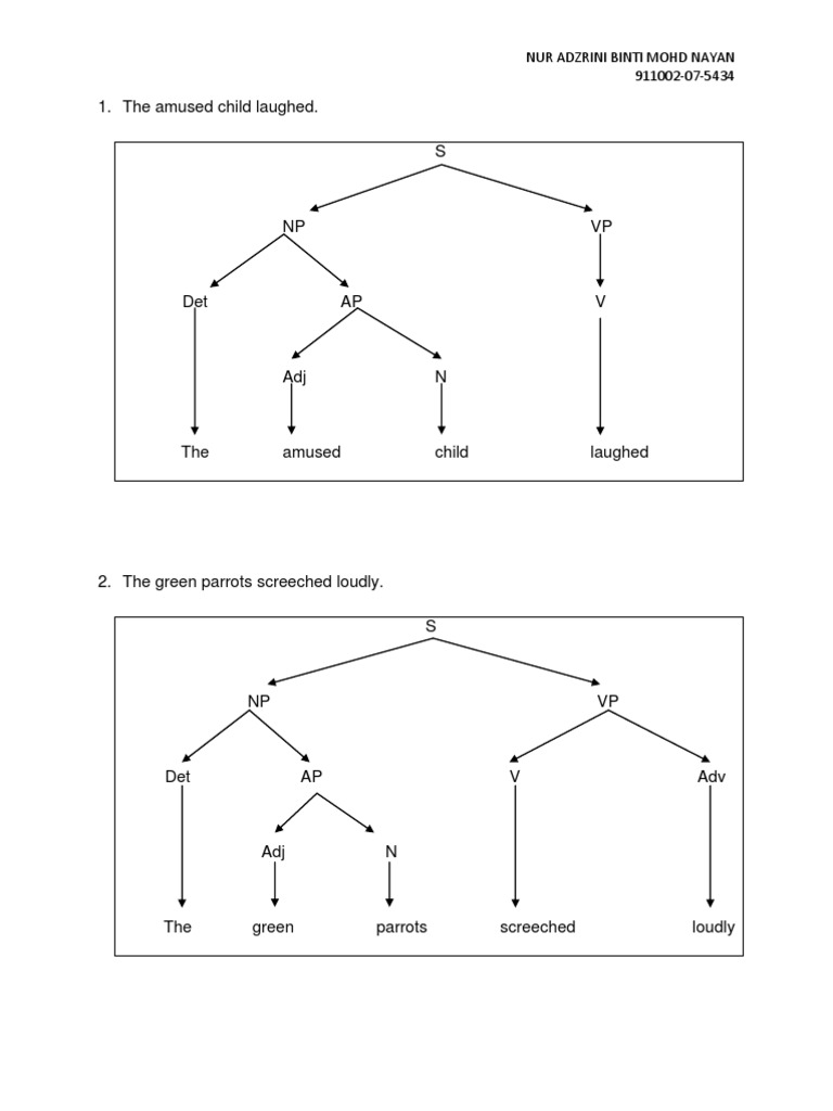 Tree Diagram | PDF