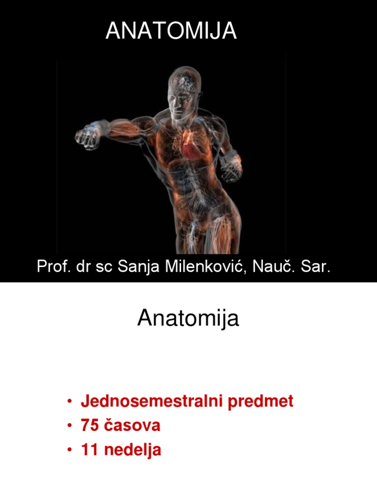 1.ANATOMIJA