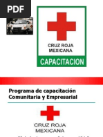 Dcap BLS Tic | PDF