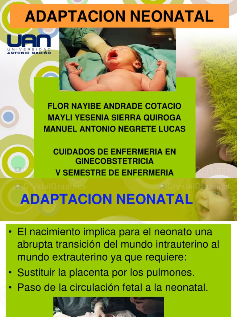 Adaptacion Neonatal | PDF | Infantes | Vena