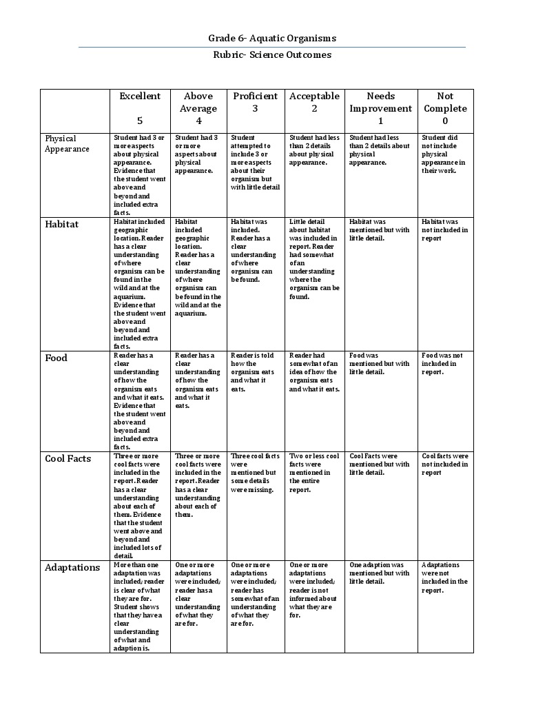 PBL Rubric | PDF | Adaptation | Cognition