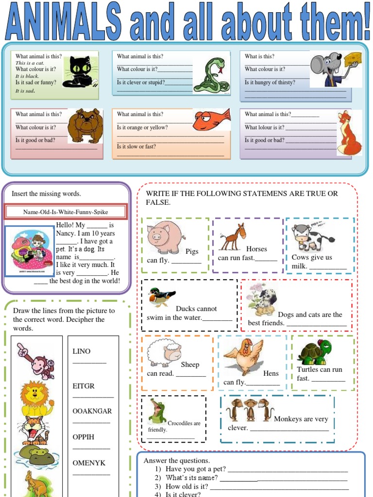 Animals Descriptions Pictures