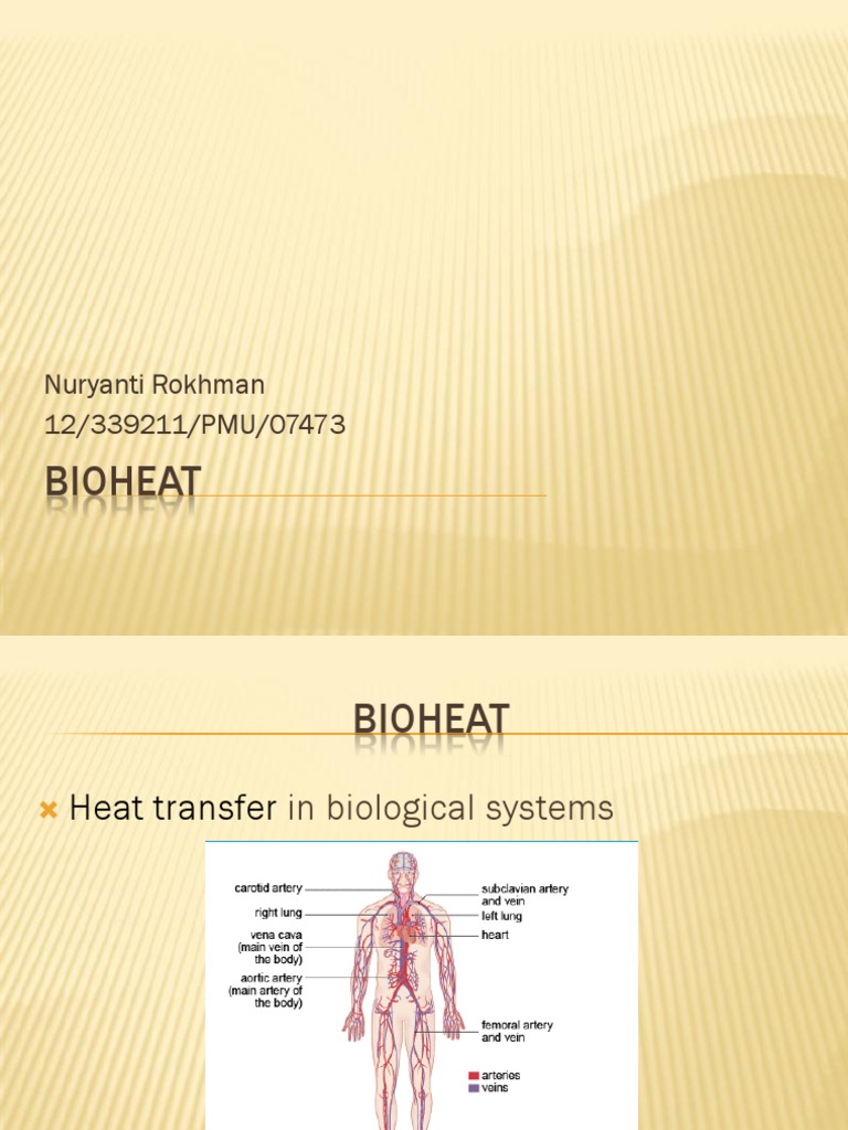 Bioheat Transfer | PDF Bioheat Transfer | PDF