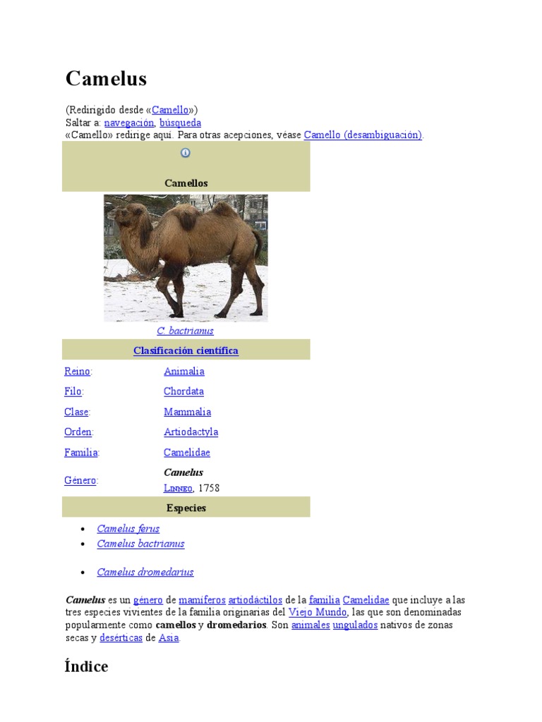 Camelus: Especies y Usos del Camello | PDF | Camello | Animales ...