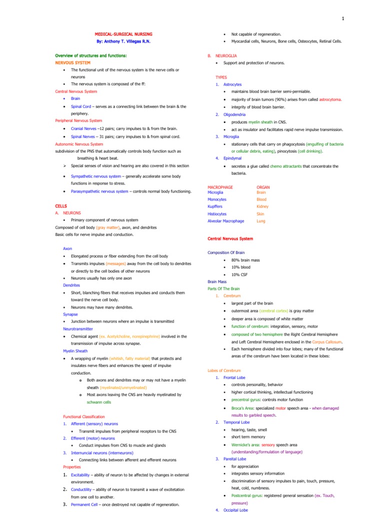 Nervous System: (Ex. Acetylcholine, Norepinephrine) | PDF | Human Brain ...