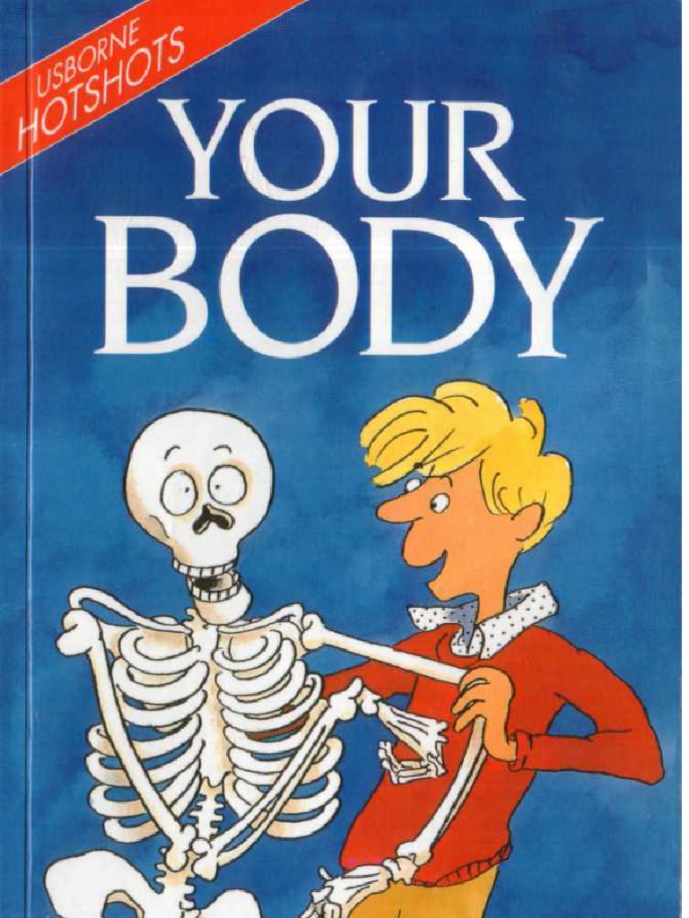 Your Body | PDF | Digestion | Blood
