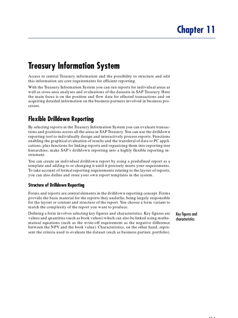 Treasury Information System: Flexible Drilldown Reporting | PDF ...