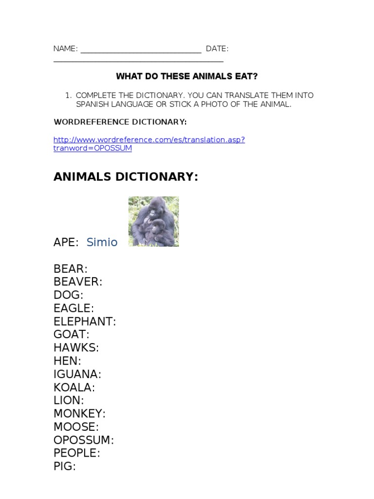 Animal Diets and Classifications Guide | PDF