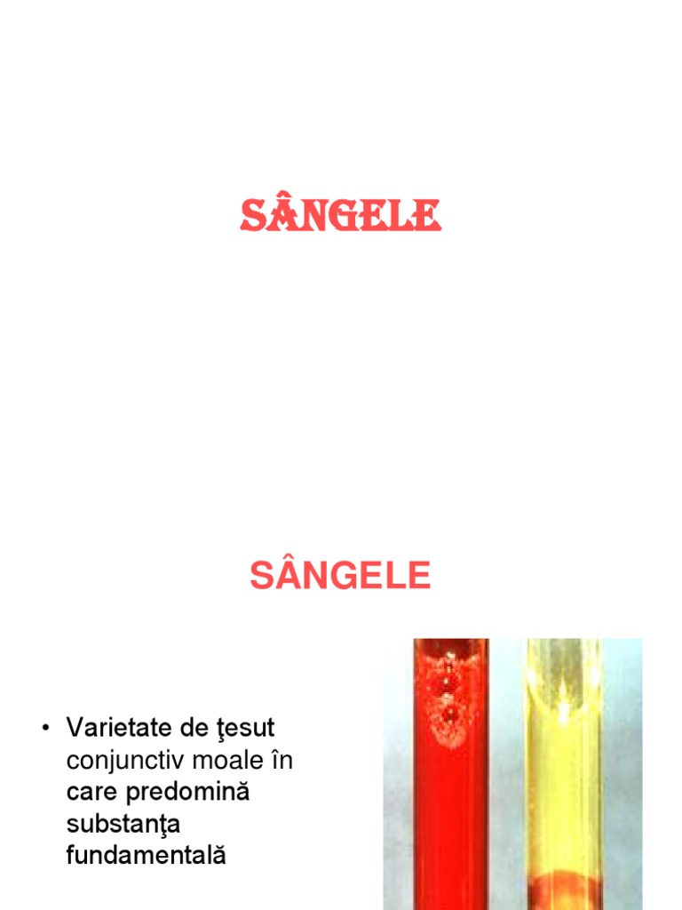 SÂNGELE | PDF