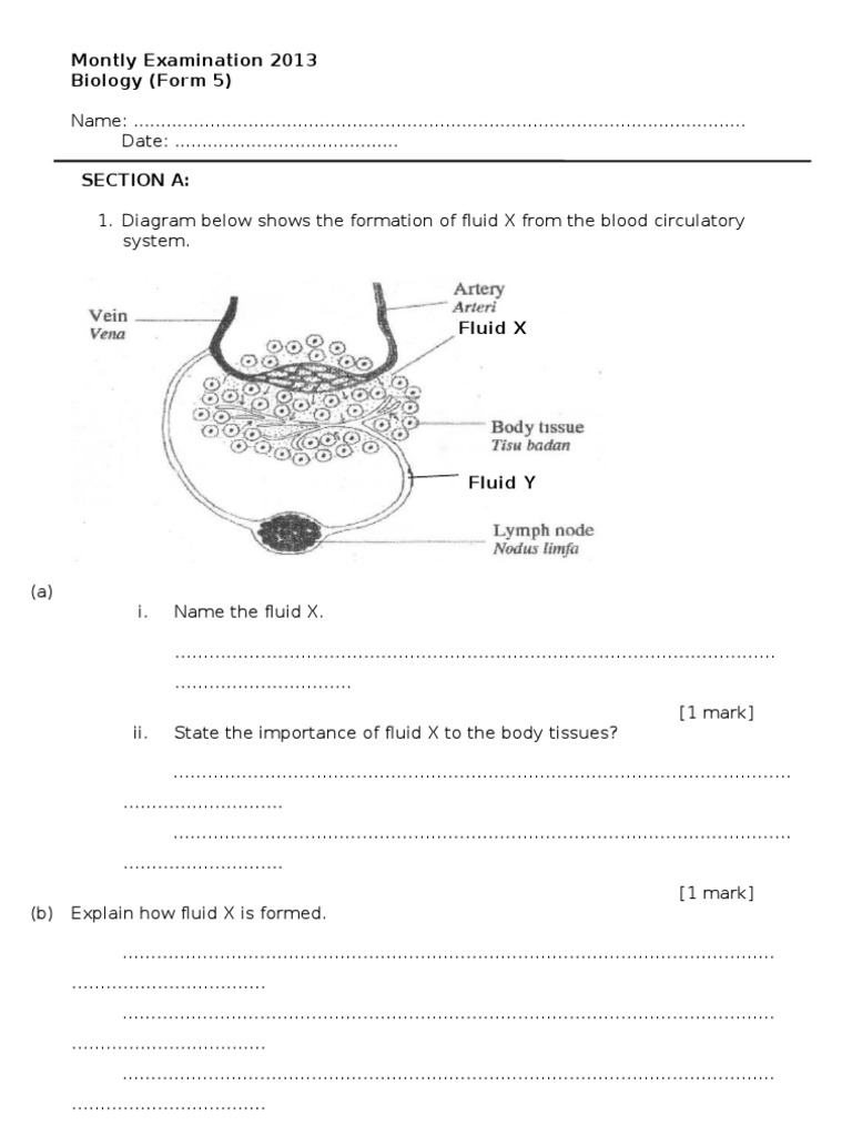 Form 5 Biology | PDF | Circulatory System | Blood