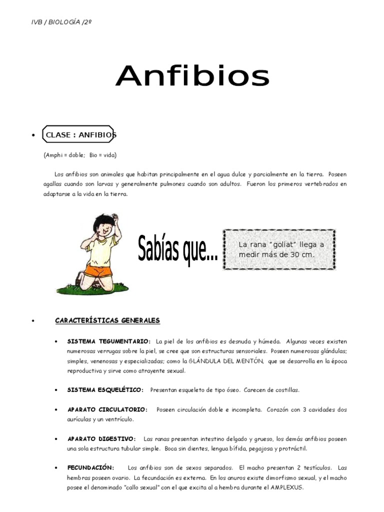 Características y Clases de Anfibios | PDF | Anfibio | Rana
