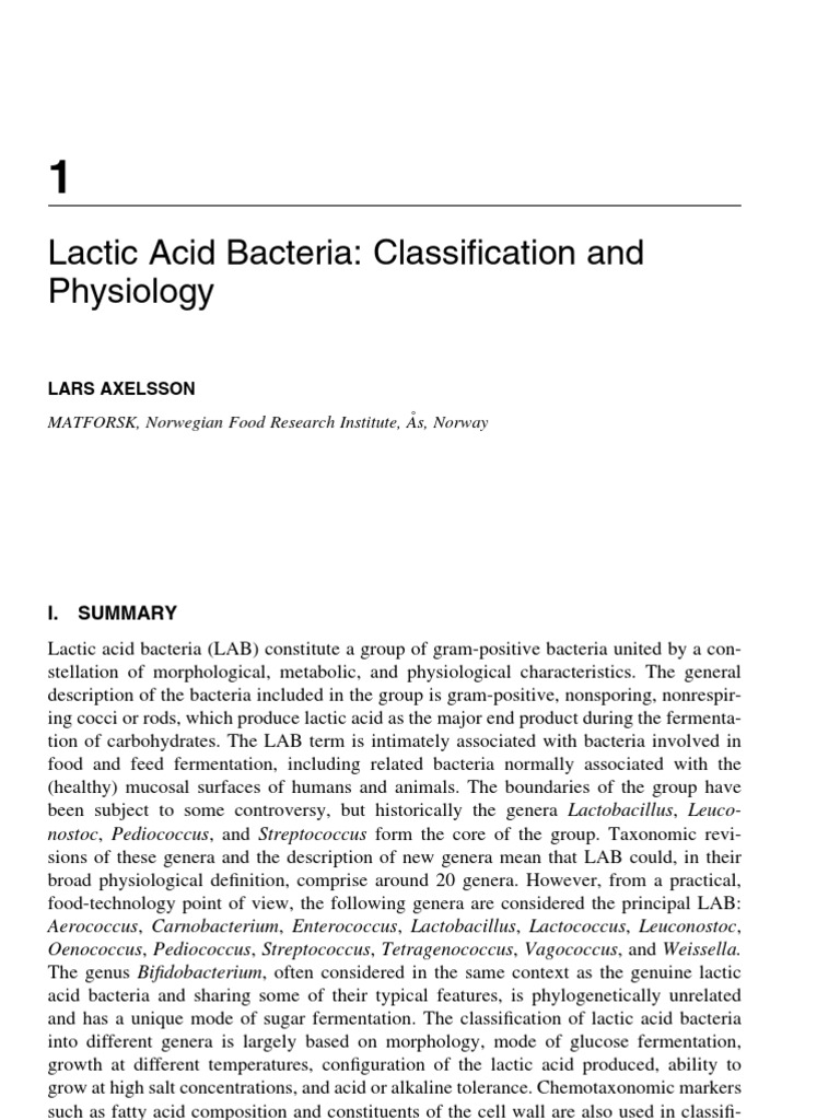 Bacterias Acido Lacticas | Lactobacillus | Streptococcus