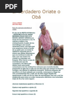 Dilo Gun | PDF | Santeria | Religión étnica