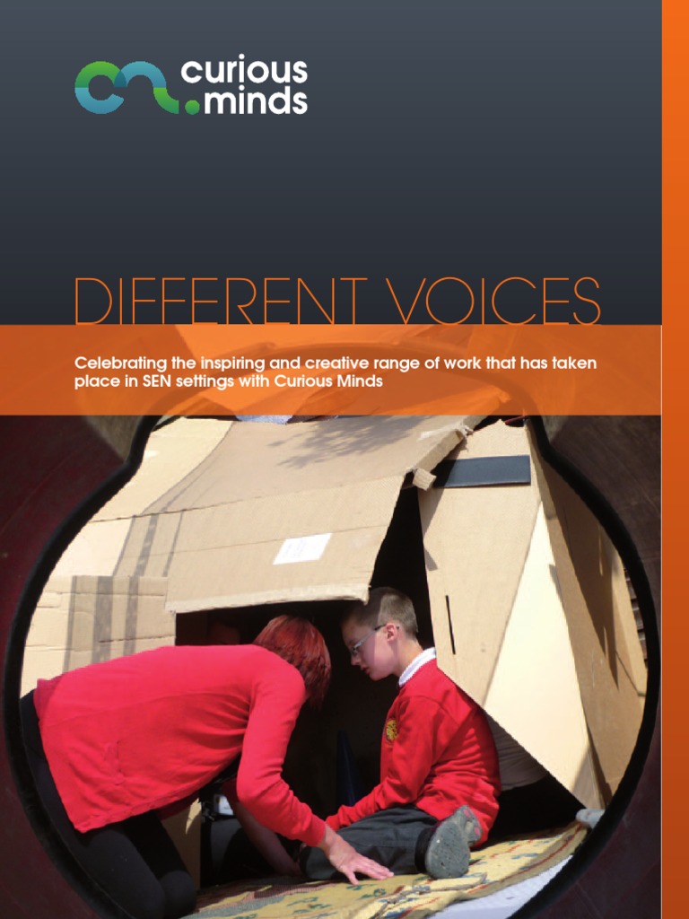 Different Voices | PDF | Curriculum | Educational Technology