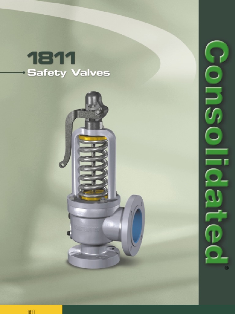 Consolidated 1811 Series Overview | PDF | Steel | Mechanical Engineering