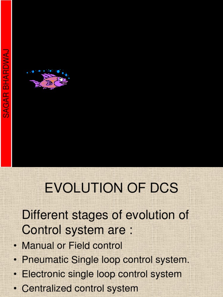 Distributed Control System | Pdf | Node (networking) | Computer Network