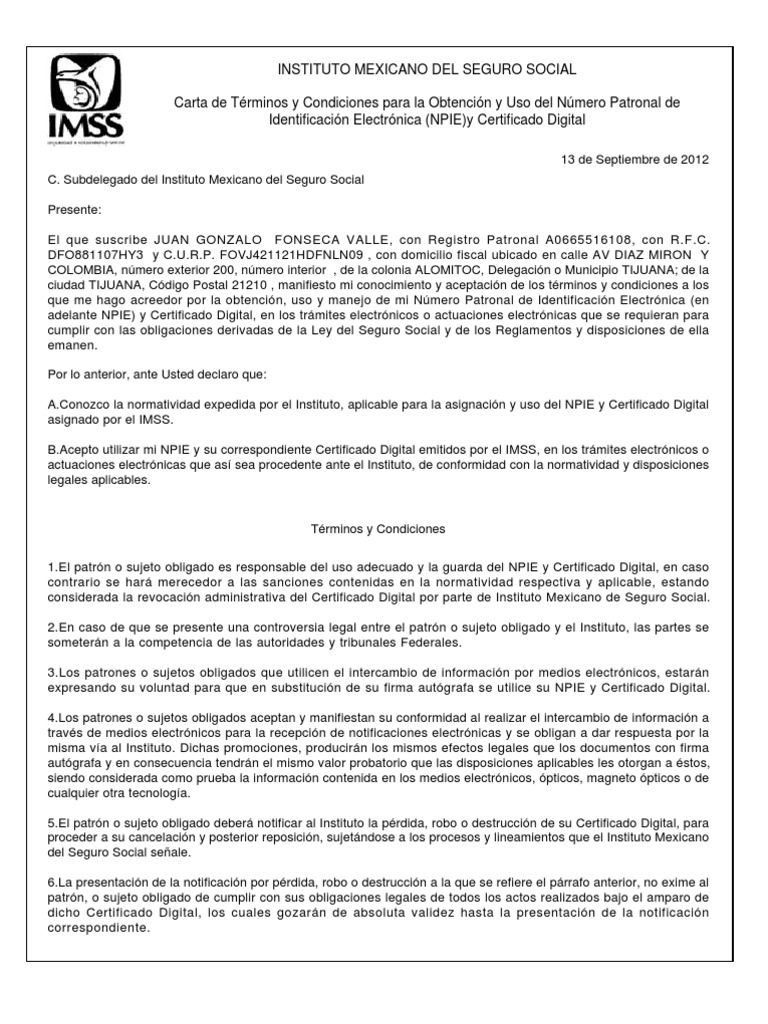 Carta de Terminos y Condiciones NPIE | PDF | Archivo de computadora | Gobierno