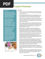 TFGH 2024 Fact Sheet Standard | PDF | Diseases And Disorders | Health Care