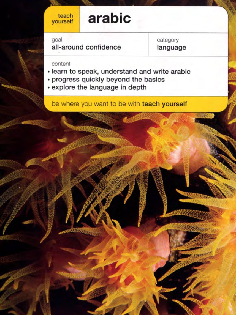 Teach Yourself Arabic | PDF