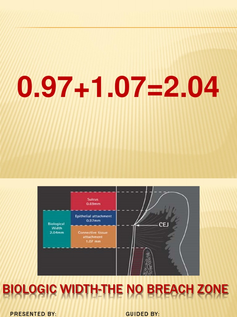 Biologic Width | PDF | Human Head And Neck | Dentistry Branches