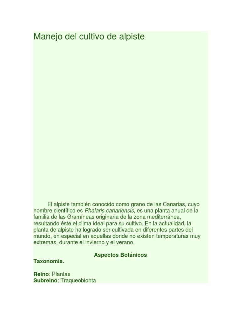 Guía completa para el cultivo exitoso de alpiste: desde la preparación del suelo y la siembra ...