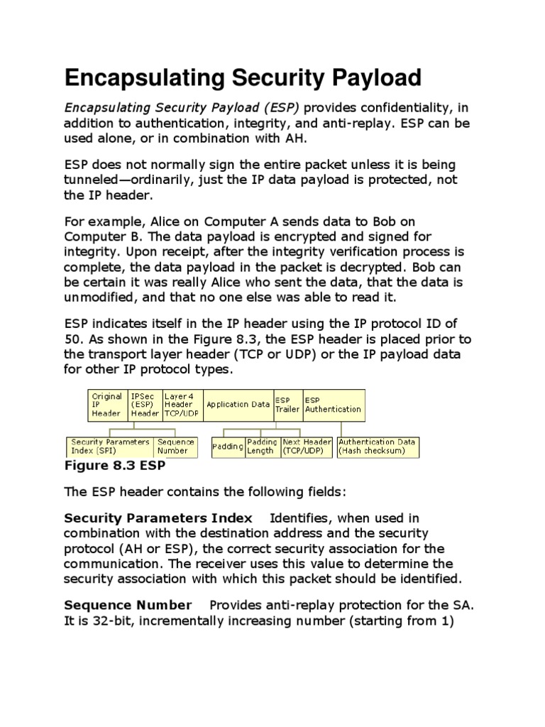 Encapsulating Security Payload | PDF | Network Packet | Internet Protocols