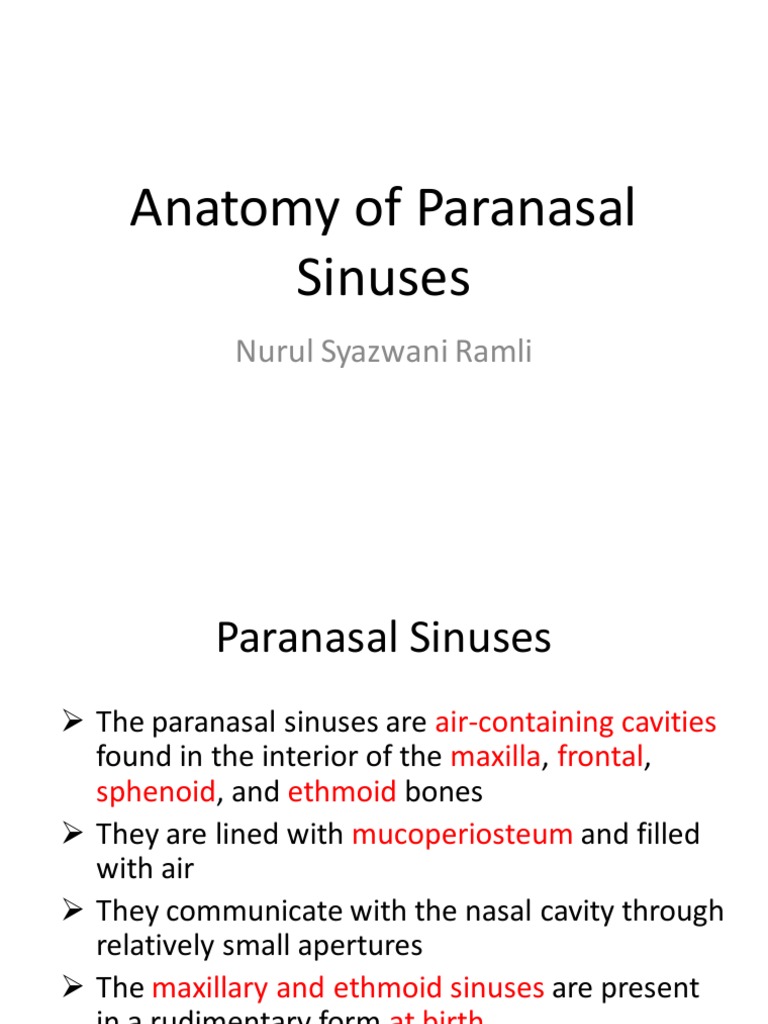 Anatomy and Function of Paranasal Sinuses | PDF