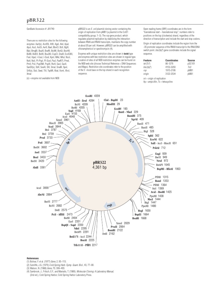 pBR322 Map | Restriction Enzyme | Molecular Genetics