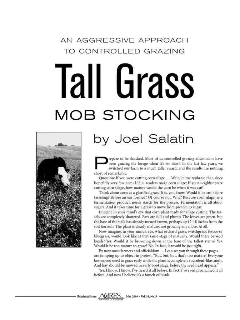 Tall Grass Mob Stocking | PDF | Grazing | Maize