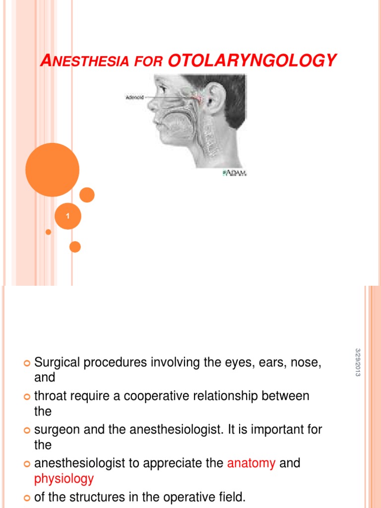Anesthesia For Ent | PDF | Respiratory Tract | Surgery