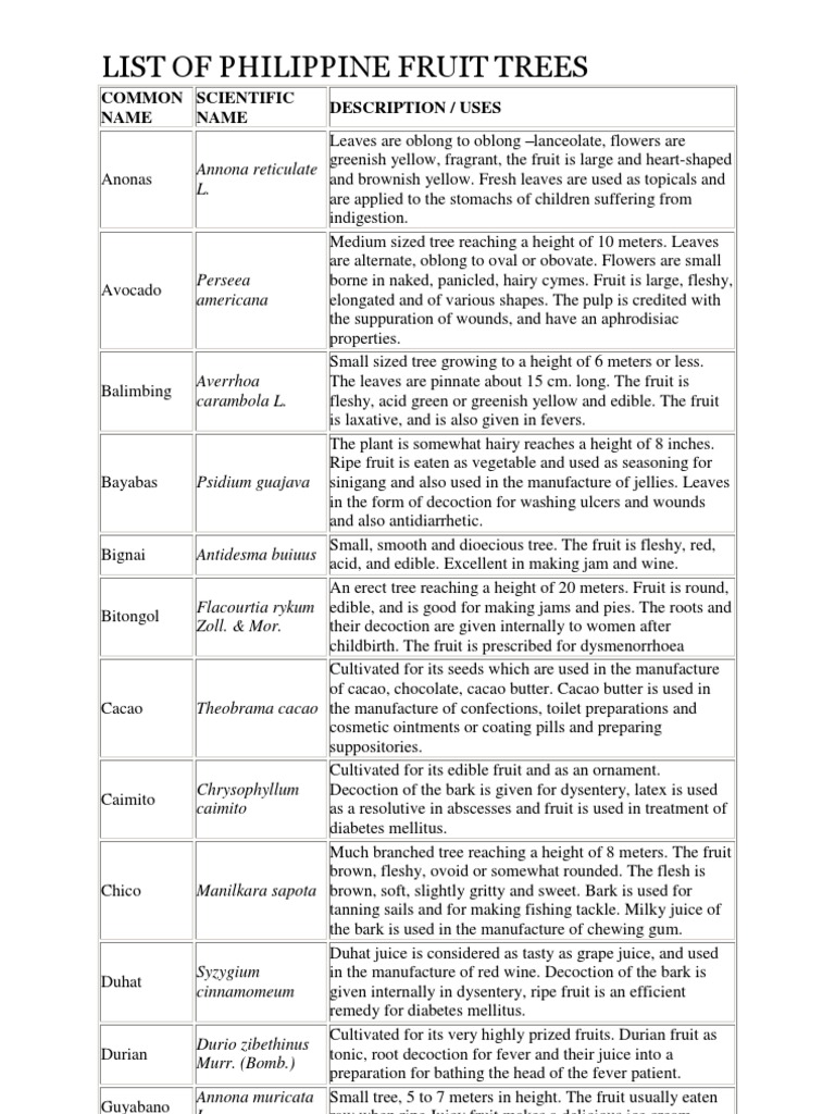 List of Phil Fruit Trees | PDF | Fruit | Trees