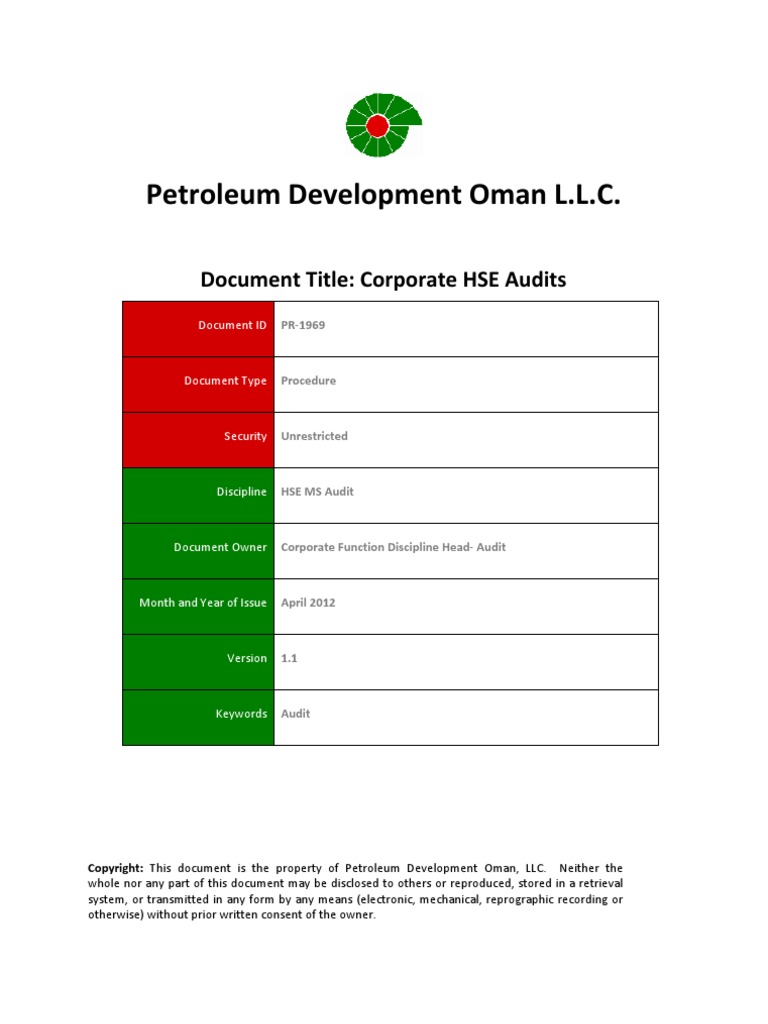 Corporate Hse Audit | Auditor's Report | Audit