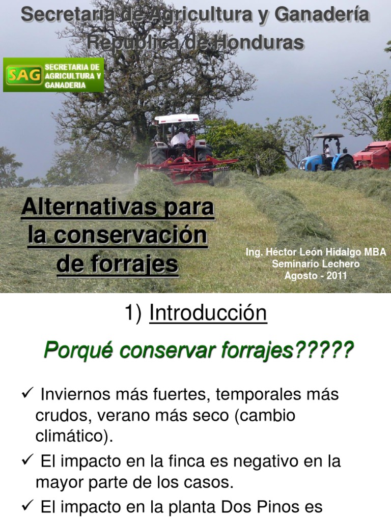 Alternativas Conservacion de Forrajes | PDF | Agricultura | Comida y bebida