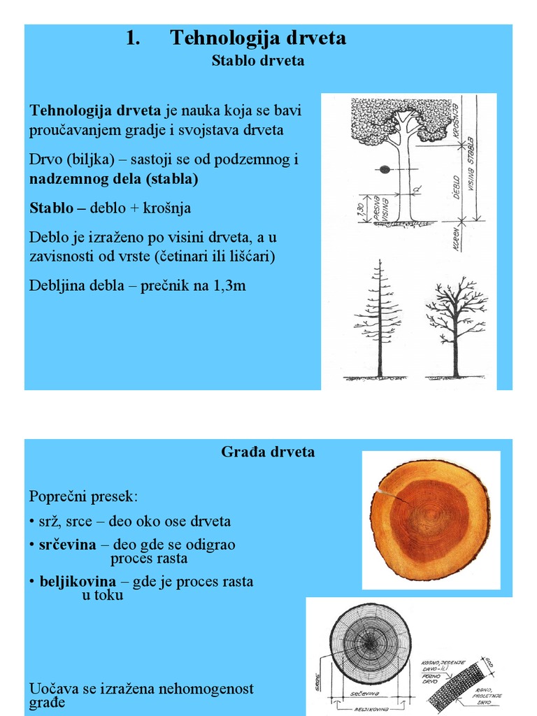 1 Prvo Predavanje | PDF