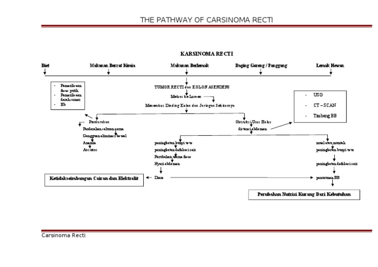 Pathway CA RECTI | PDF | Kesehatan Holistik | Sains & Matematika