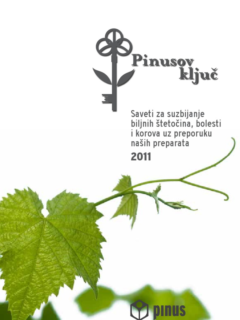 Pinus Pro | PDF