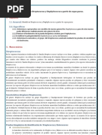 Optoquina | PDF | Estreptococo | Microbiología