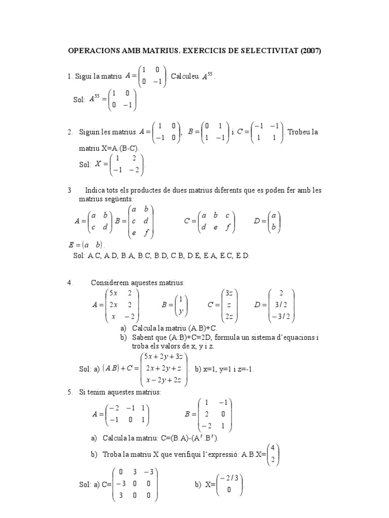 Exercicis de Selectivitat - Operacions Amb Matrius | PDF