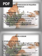 Caudectomia | PDF | Perros | Cirugía